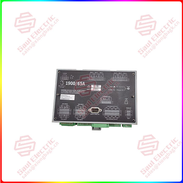 1900/65A-01-01-01-00-00 How can highly integrated embedded processors ...