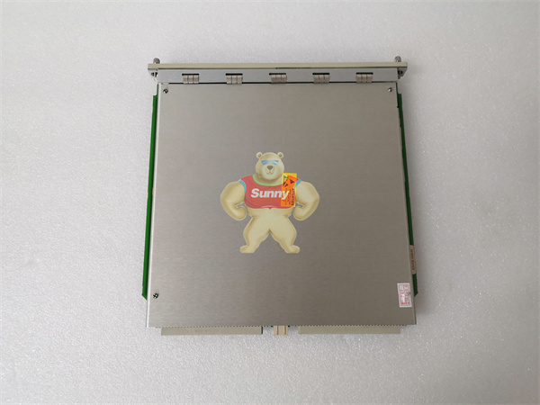 3500/22M 138607-01 Ten top AMR modules are applied to realize the whole ...