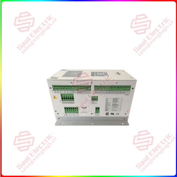 DECS-200-2L Digital Excitation Control System BASLER ELECTRIC - saulcontrol