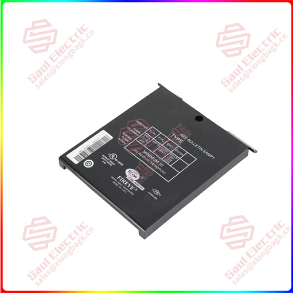 E1R1 Flame Amplifier Modules - saulcontrol